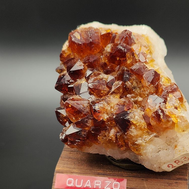 ANGEBOT! MADERA-QUARZ, Intensive Farbe (Neu (gemäss Beschreibung)) in Balerna für CHF 19 – mit ...