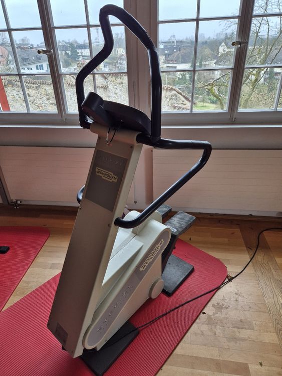 Technogym Stepper Step XT | Kaufen auf Ricardo