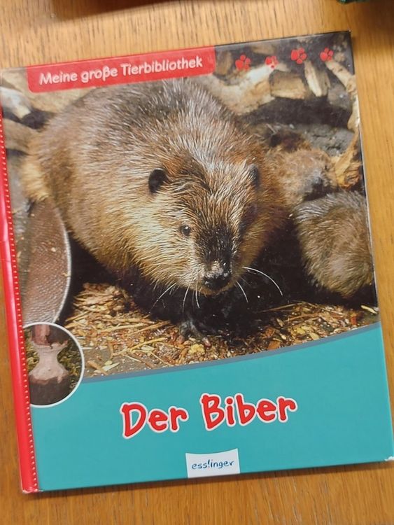 Der Biber (Gebraucht) in Wynigen für CHF 1 – nur Abholung auf Ricardo ...