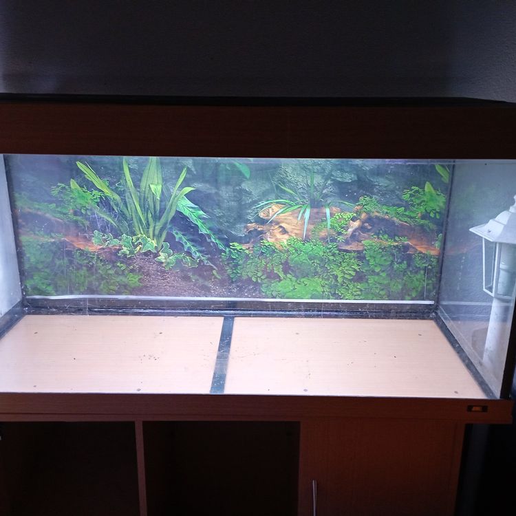 Aquarium Juwel (Gebraucht) in Matzingen für CHF 121 – nur Abholung auf Ricardo kaufen