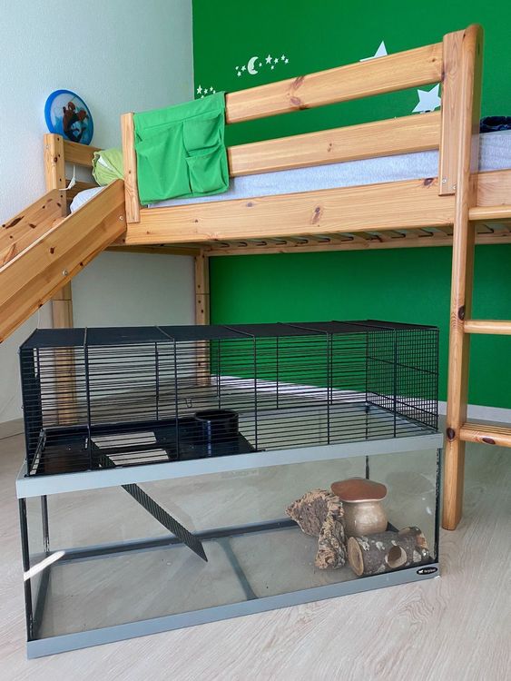 Hamsterkäfig oder Mäusekäfig (Gebraucht) in Biberist für CHF 35 – nur ...