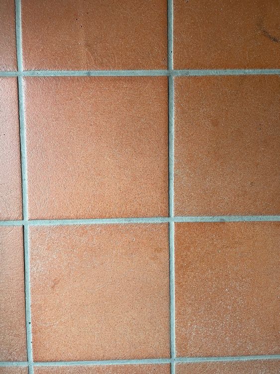 Bodenplatten Ton nature 30 x 30 cm und Zubehör (Gebraucht) in Lohn SH ...