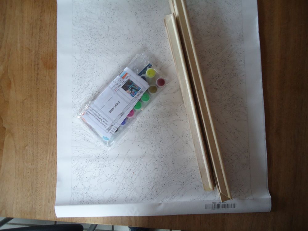 neu! Malen nach Zahlen, 40 x 50 cm, alles dabei + Rahmen | Kaufen auf Ricardo