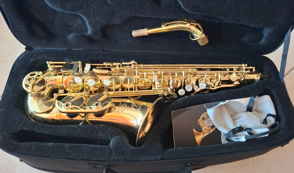 SELMER Paris AXOS Es-Alt Saxophon (Gebraucht) in La Sarraz für CHF 1700 ...