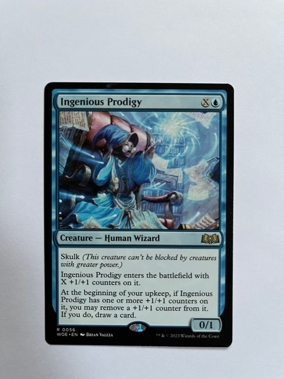 Ingenious Prodigy (Neu (gemäss Beschreibung)) in Riedern für CHF 0.5 ...