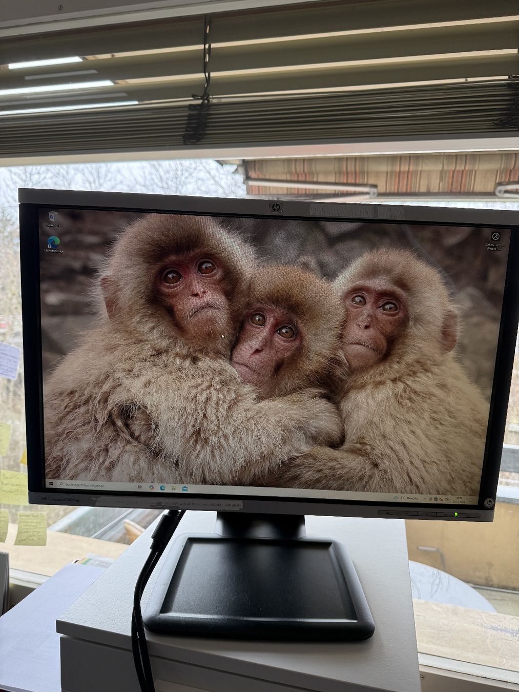 HP LA2405wg 24" Monitor – drehbar, höhenverstellbar (Gebraucht) in ...