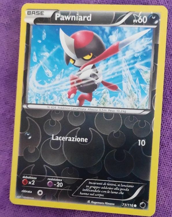 Pokemon | Kaufen auf Ricardo