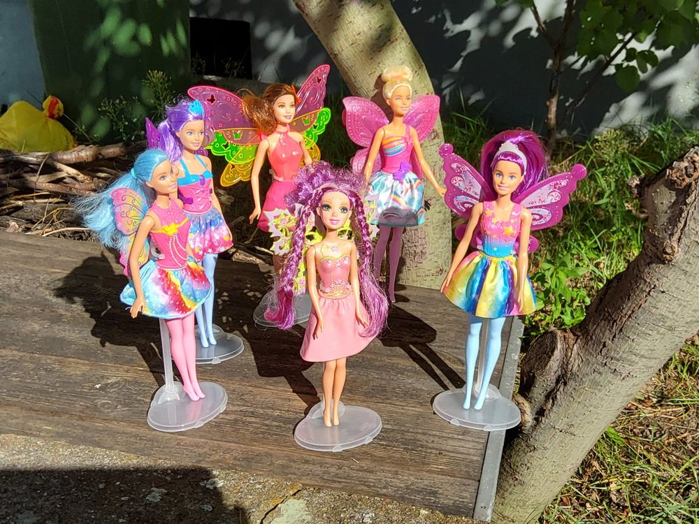 Feen Barbie Set (Gebraucht) in Birsfelden für CHF 65 – mit Lieferung ...