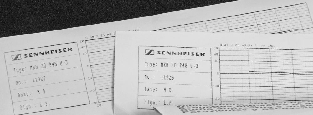 2x Sennheiser MKH-20 Kugel Mikrofone | Kaufen auf Ricardo