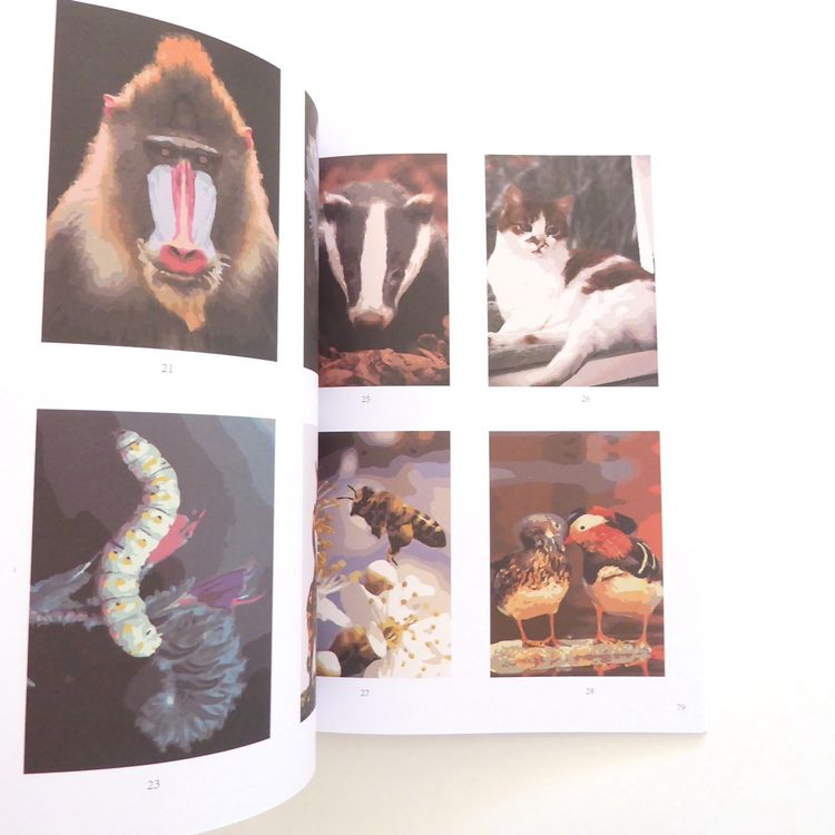 Malen nach Zahlen - 72 Blatt - A4 - Malbuch - Tiere (Neu und originalverpackt) in Basel für CHF ...