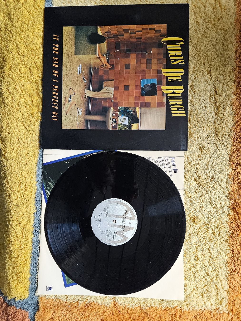 Chris de Burgh Schallplatte Lp - At the end of a perfect day (Neu ...