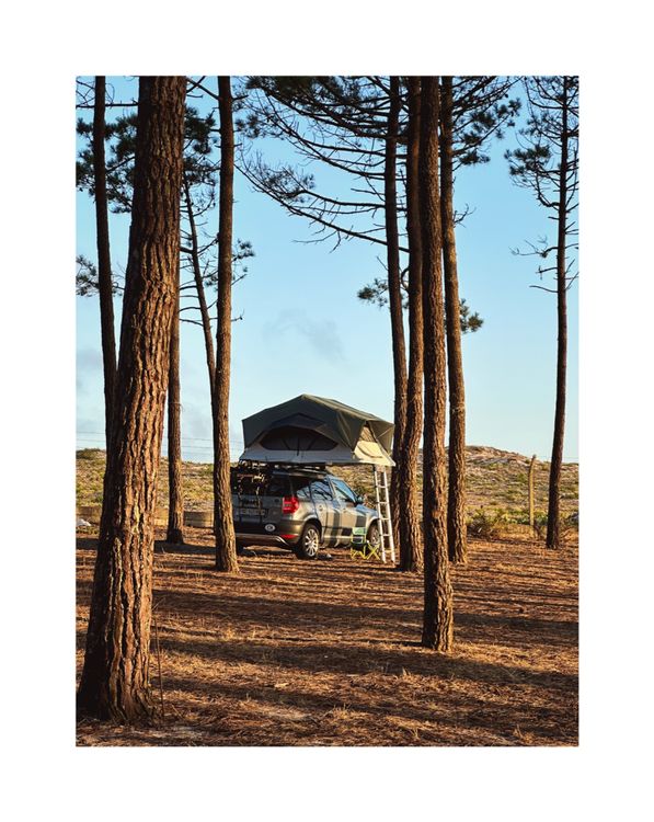 Dachzelt auto | Kaufen auf Ricardo