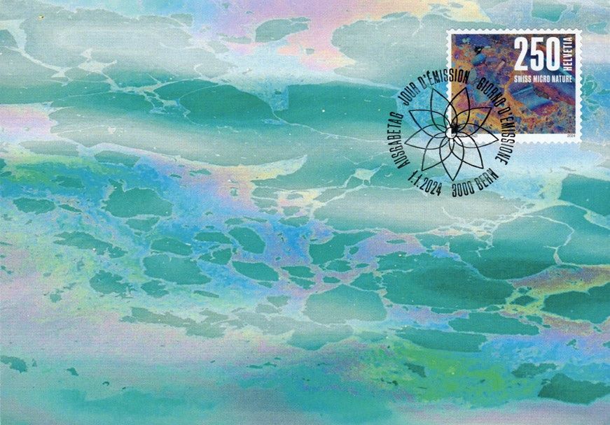 Maximumkarte Naturmuster - Pflanzenöl | Kaufen auf Ricardo