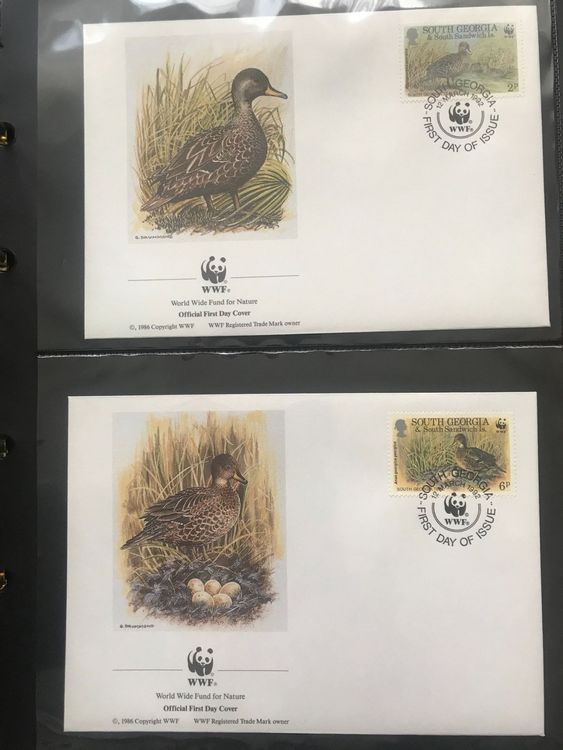 WWF Südgeorgien 1992 Spitzschwanzente Satz Ersttagsbriefe (Neu (gemäss Beschreibung)) in Liestal ...