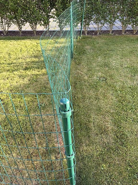 14m Garten Zaun mit Pfosten (Gebraucht) in Kölliken für CHF 1 – nur ...