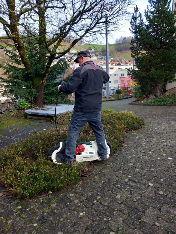 Roller 50cm. für Verrückte (Gebraucht) in Huttwil für CHF 30 – nur ...