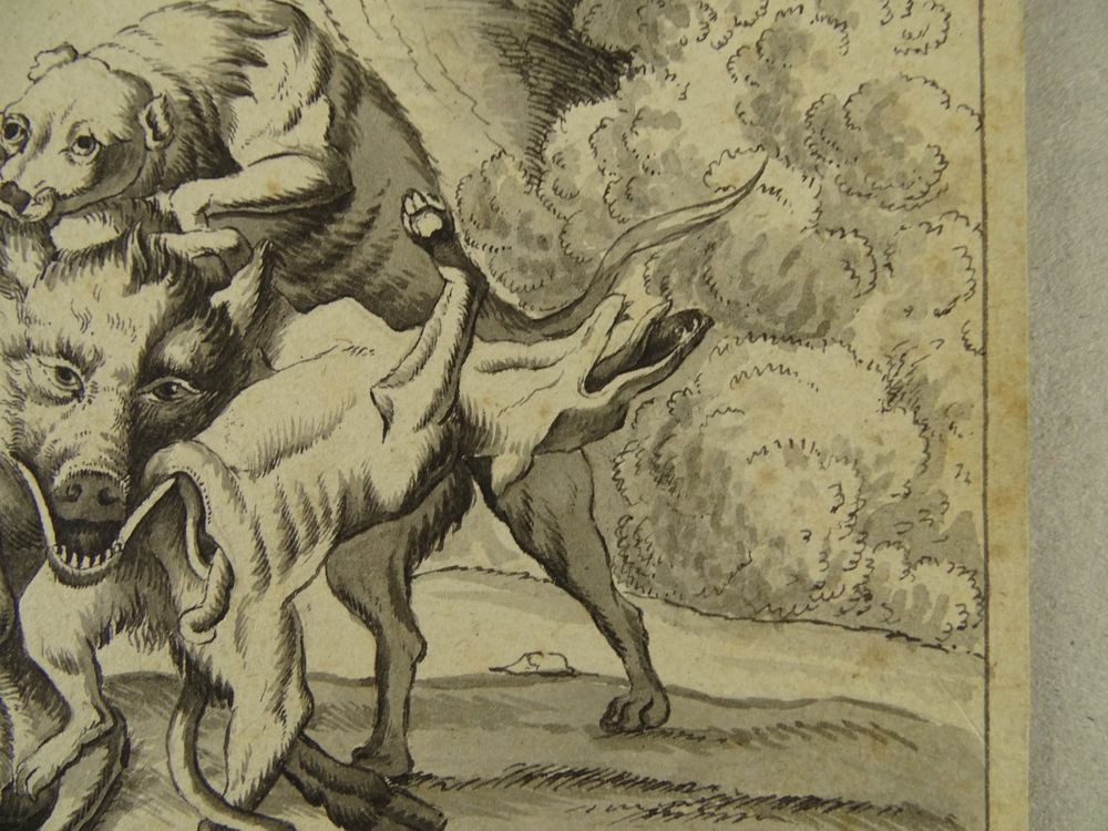 JAGDHUNDE IM KAMPF MIT EBER, KUPFERRADIERUNG 17. JAHRHUNDERT (Gebraucht ...
