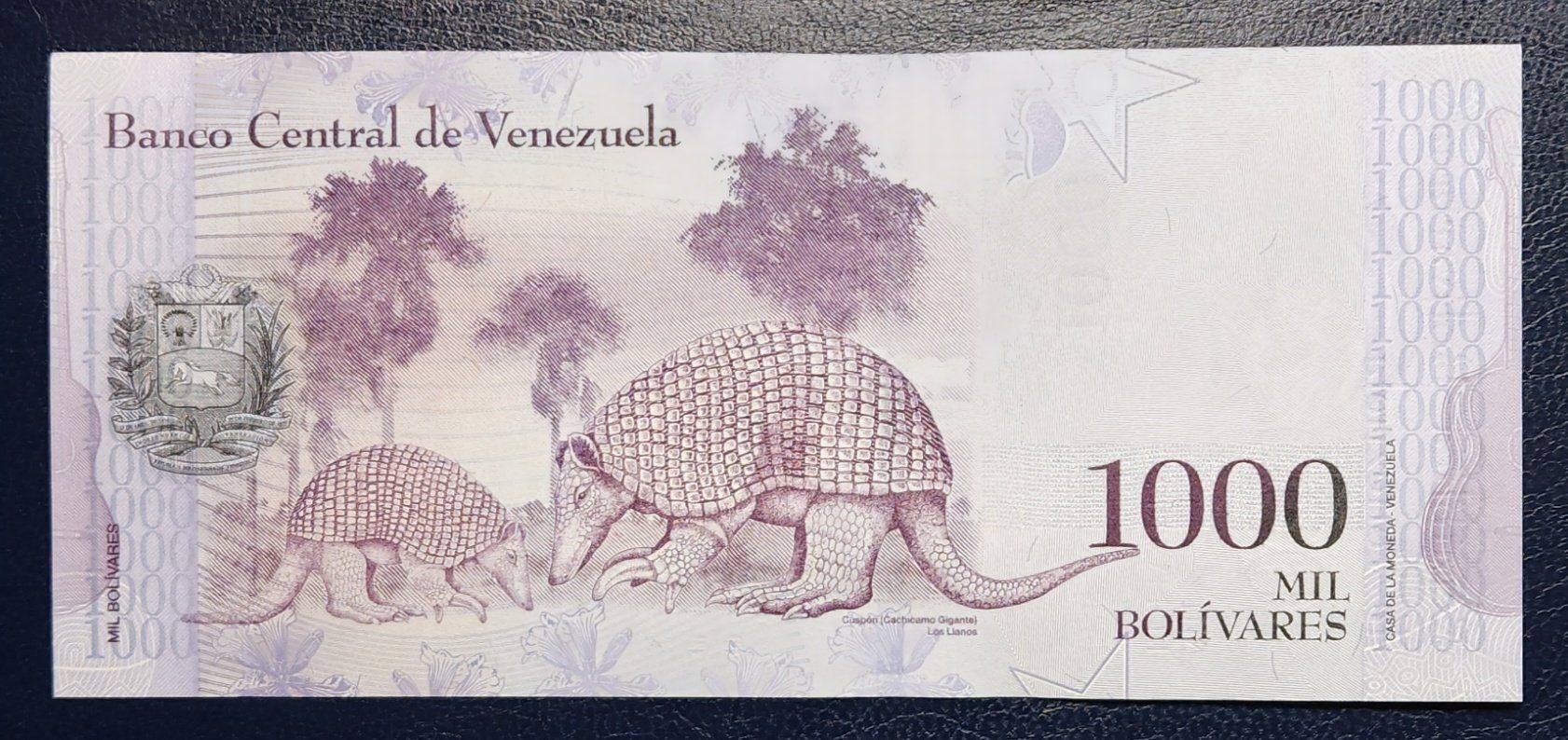 Venezuela-1000 Bolivares UNC (Nuovo (secondo la descrizione)) a Hittnau ...
