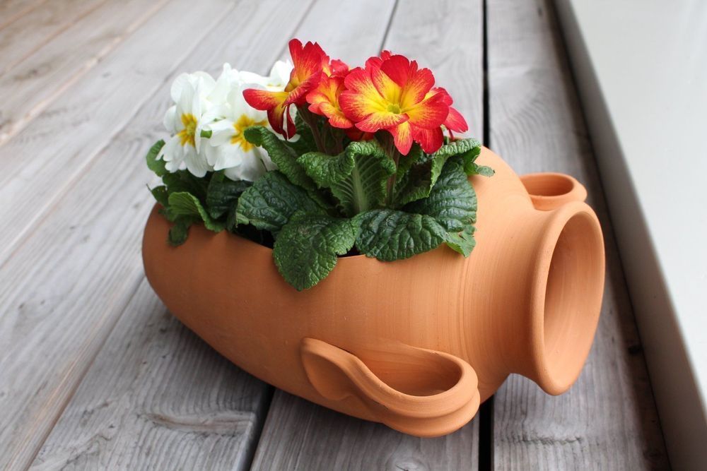 Gartentopf/Blumentopf/Tontopf/Pflanzentopf aus Ton (Neu (gemäss ...