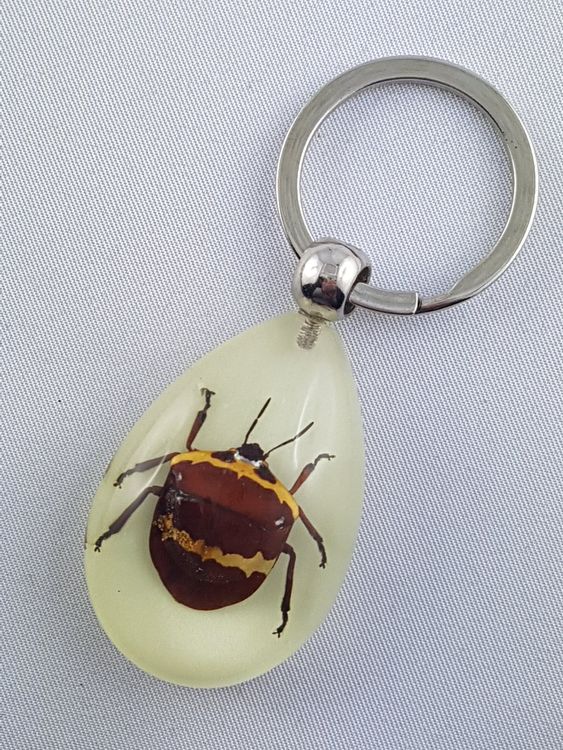 Schlüsselanhänger - KÄFER - Neu, Original Verpackt | Kaufen auf Ricardo