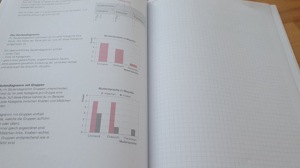 Mathematik 1 Begleitheft Sek 1 | Kaufen auf Ricardo