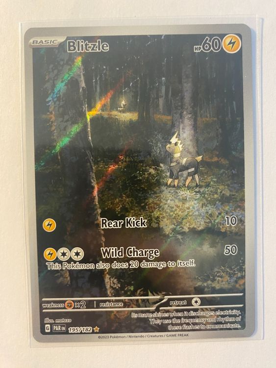 Pokemon Blitzle 195/182 Paradox Rift EN (Neu (gemäss Beschreibung)) in ...