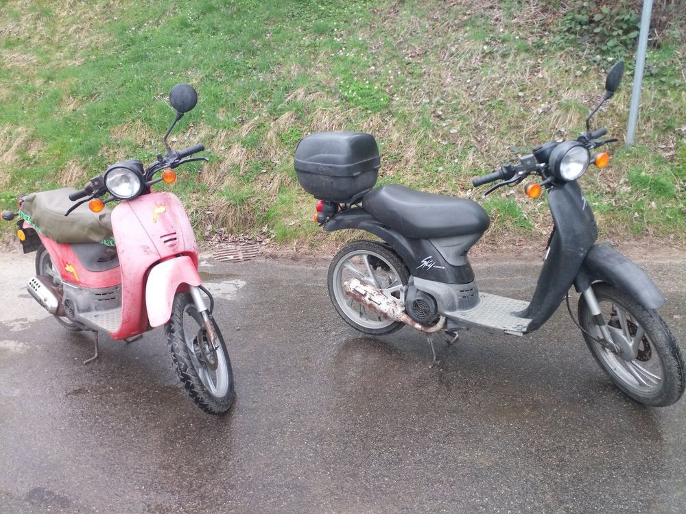 Honda Sky (Gebraucht) in Bern für CHF 202 – nur Abholung auf Ricardo kaufen