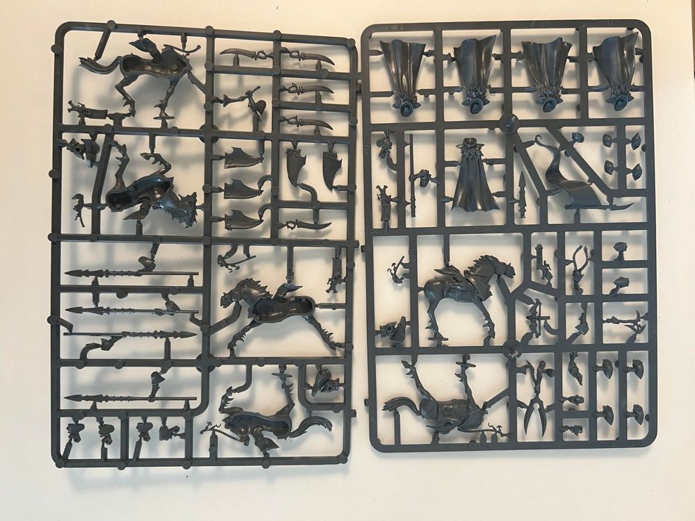Warhammer Age of Sigmar Doomfire Warlocks/Dark Riders sprues (Gebraucht ...