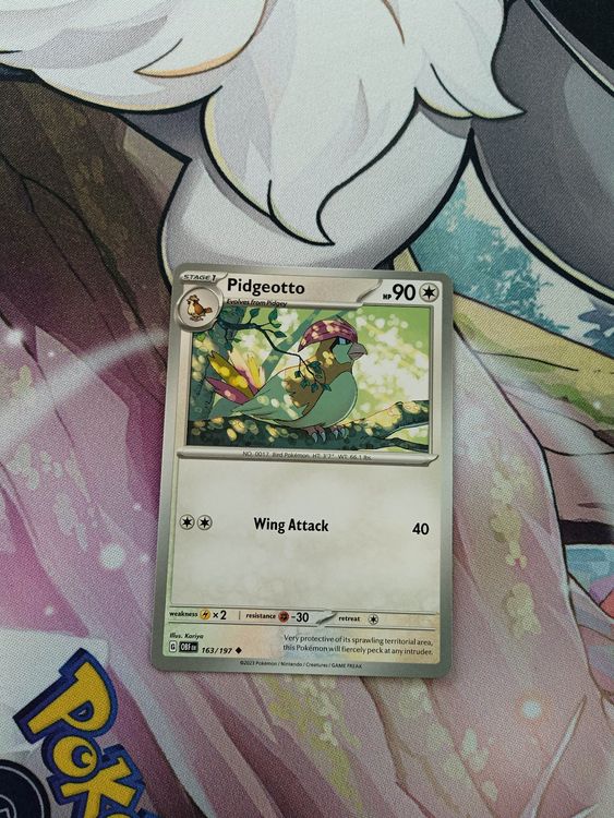 Pidgeotto Tauboga Obsidian Flames - Pokemon (Gebraucht) in für CHF 0.5 ...