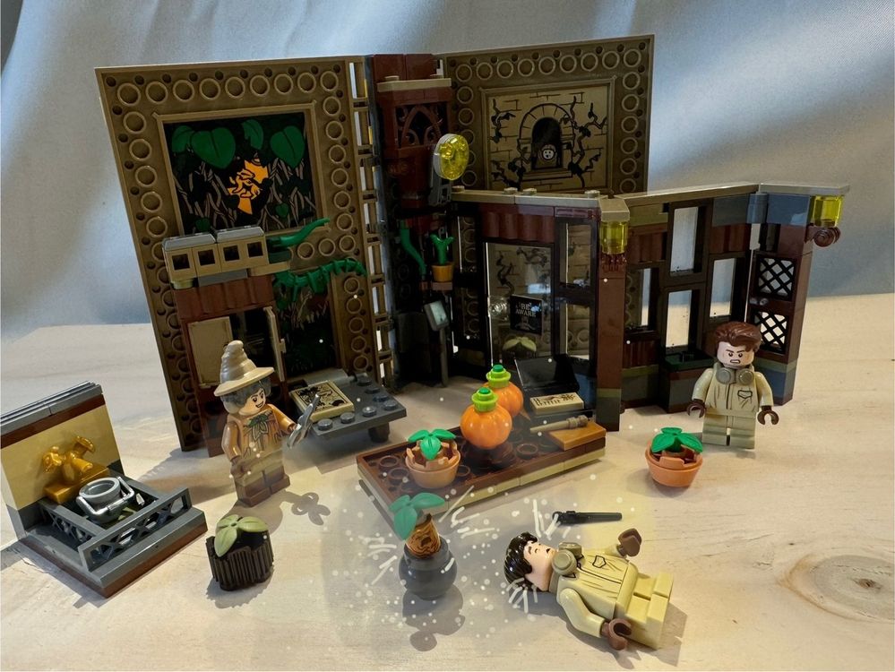 LEGO 76384: Harry Potter Hogwarts Kräuterkundeunterricht (Gebraucht) in ...