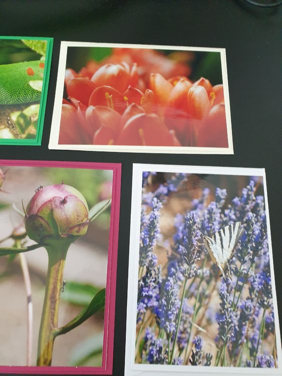 5 Karten / Motiv: Diverse Motive (handgemacht) | Kaufen auf Ricardo