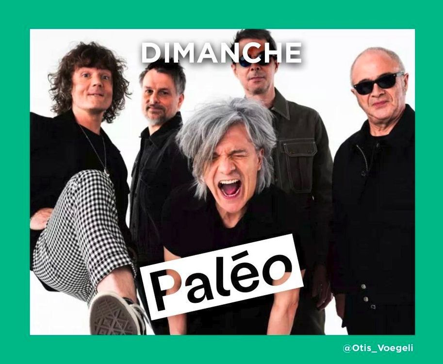 2 billets Paléo Festival - Dimanche 23 juillet 2023 | Kaufen auf Ricardo
