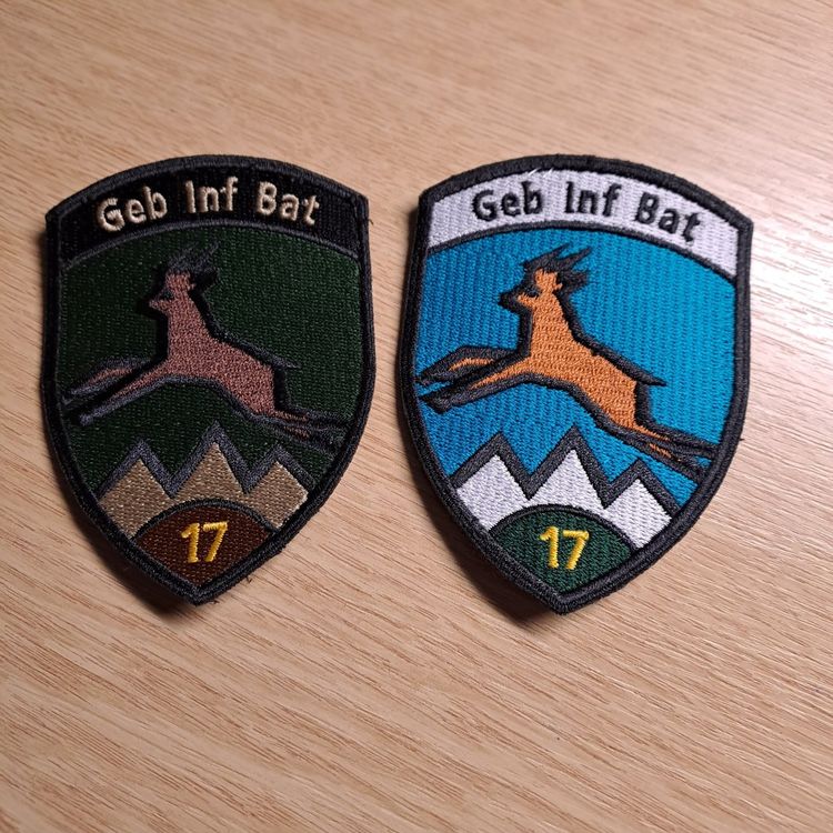 Geb Inf Bat 17 (Gebraucht) in Gipf-Oberfrick für CHF 3 – mit Lieferung ...