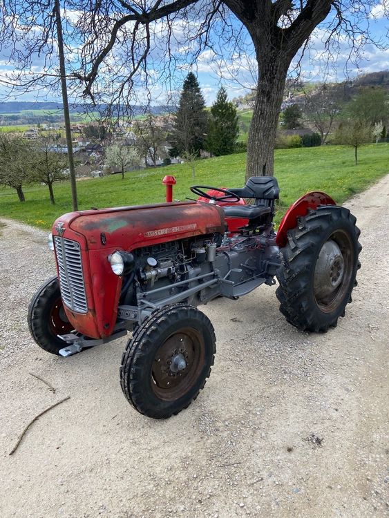 Massey Ferguson FE 35 | Kaufen auf Ricardo