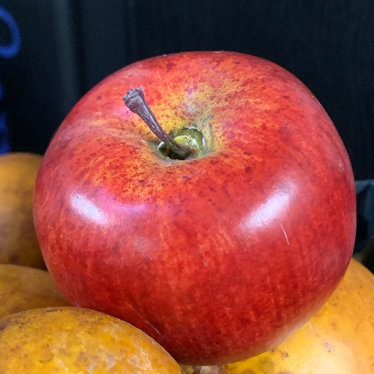 Apfel rot, künstliches Lebensmittel, Dekoration (Gebraucht) in St ...
