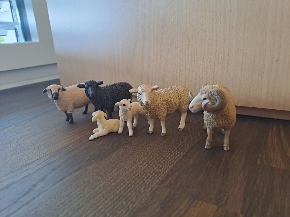 Schleich Schaf Herde (3 Schafe, 1 Schafbock, 3 Lämmer) (Gebraucht) in Suhr für CHF 20 – mit ...