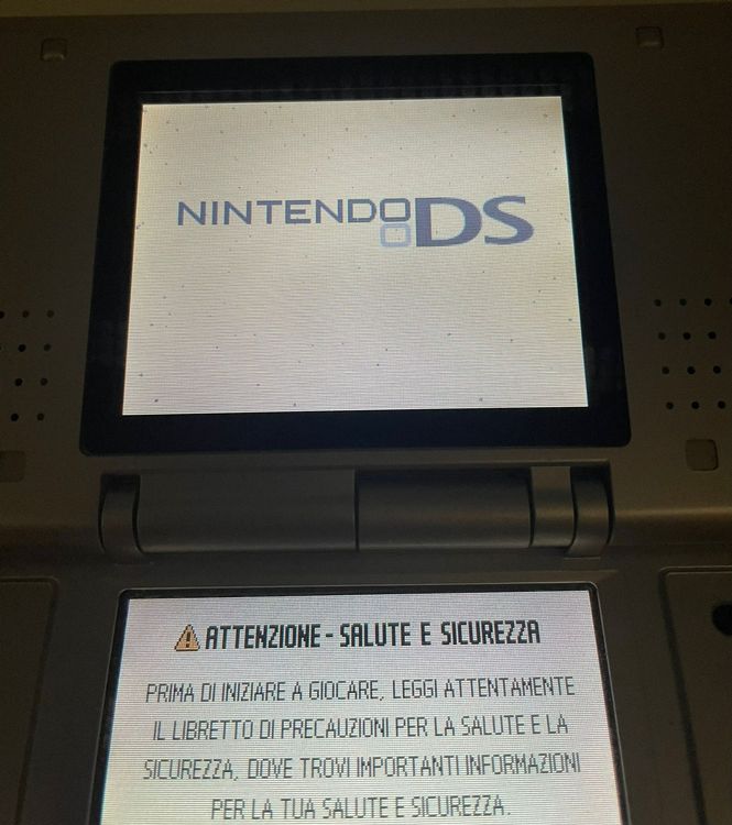 Nintendo DS 1 Gen. Konsole | Kaufen auf Ricardo