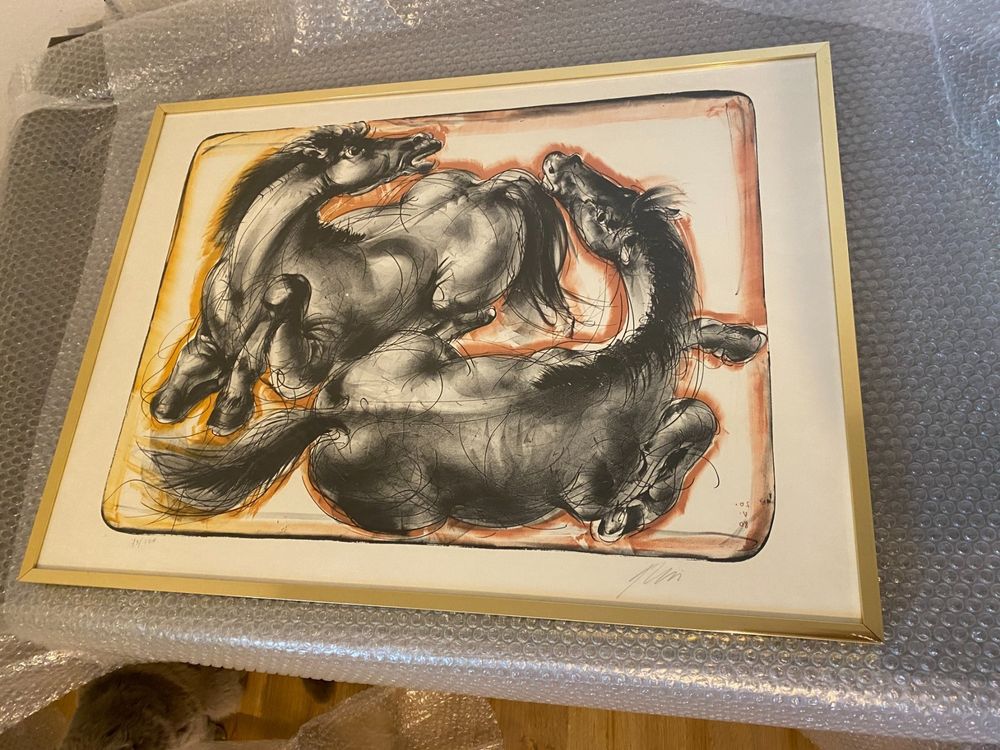 ***Wunderschöne Hans Erni Litho*** (Gebraucht) in Trimmis für CHF 250 – nur Abholung auf Ricardo ...