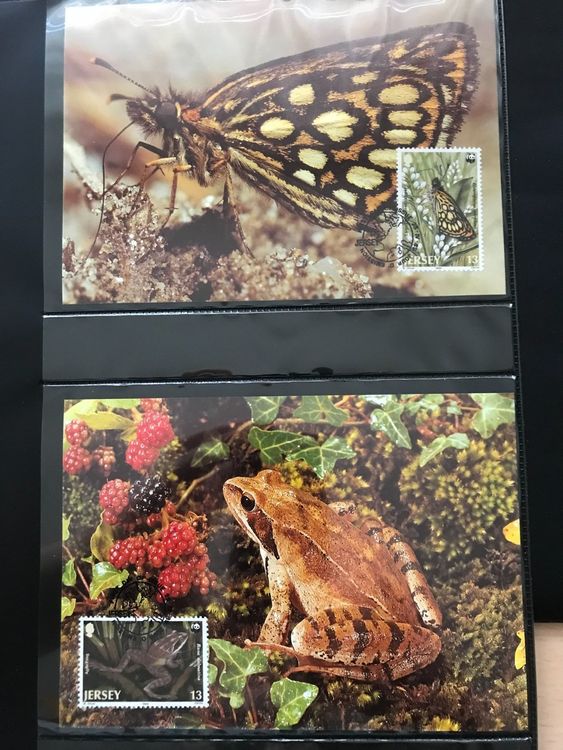 WWF Jersey 1989 Eule Frosch Salamander Satz Maximumkarten (Neu (gemäss Beschreibung)) in Liestal ...