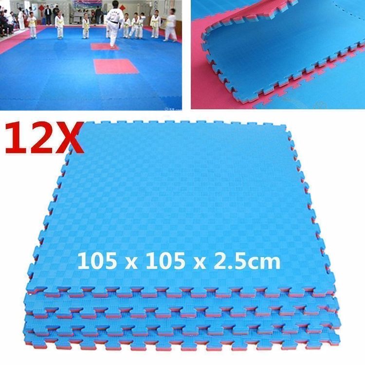 12x Fitnessmatte Kampfsportmatte Matte (Neu (gemäss Beschreibung)) in ...