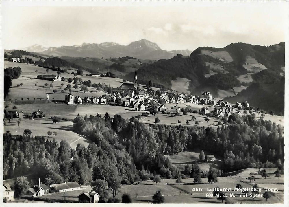 Neckertal SG Mogelsberg Flugaufnahme Nr.21617 , 1947 | Kaufen auf Ricardo