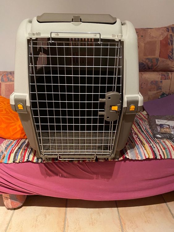 Hunde-Transportbox für den Flug (Gebraucht) in Ettenhausen TG für CHF ...