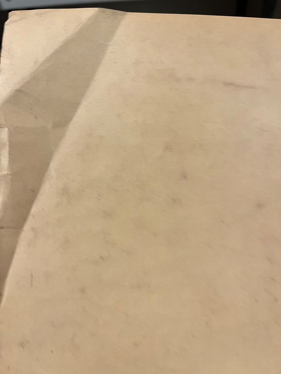 Alex Stocker (1926-1954) Zeichnung von eine Mädchen | Kaufen auf Ricardo