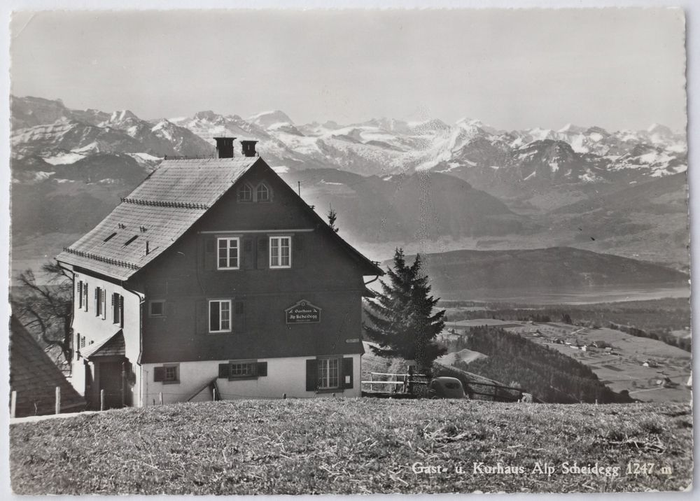 Ansichtskarte Alp Scheidegg Wald ZH 1963 (Gebraucht) in Ehrendingen für CHF 3 – mit Lieferung ...
