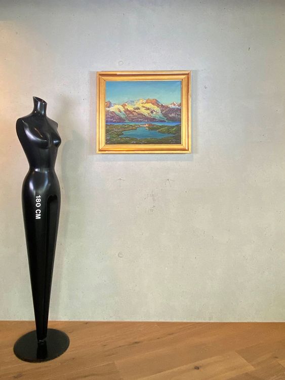 August Weber - Swiss Art Selection (Gebraucht) in Sursee für CHF 275 – mit Lieferung auf Ricardo ...