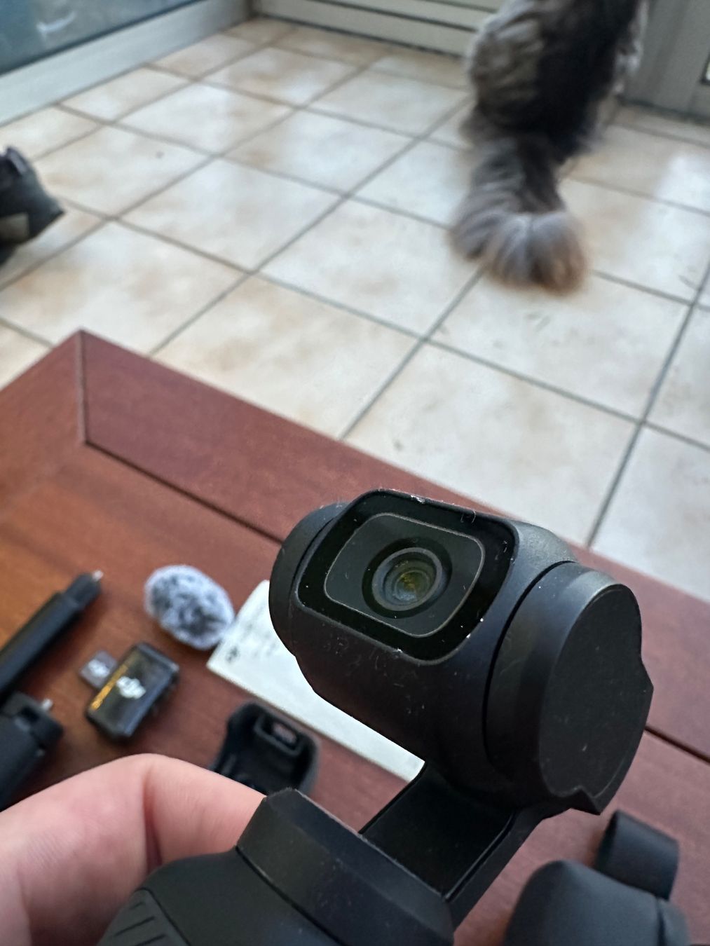 DJI Osmo pocket 3 Creator Combo + Insta360 Selfie Stick 3m (D'occasion ...