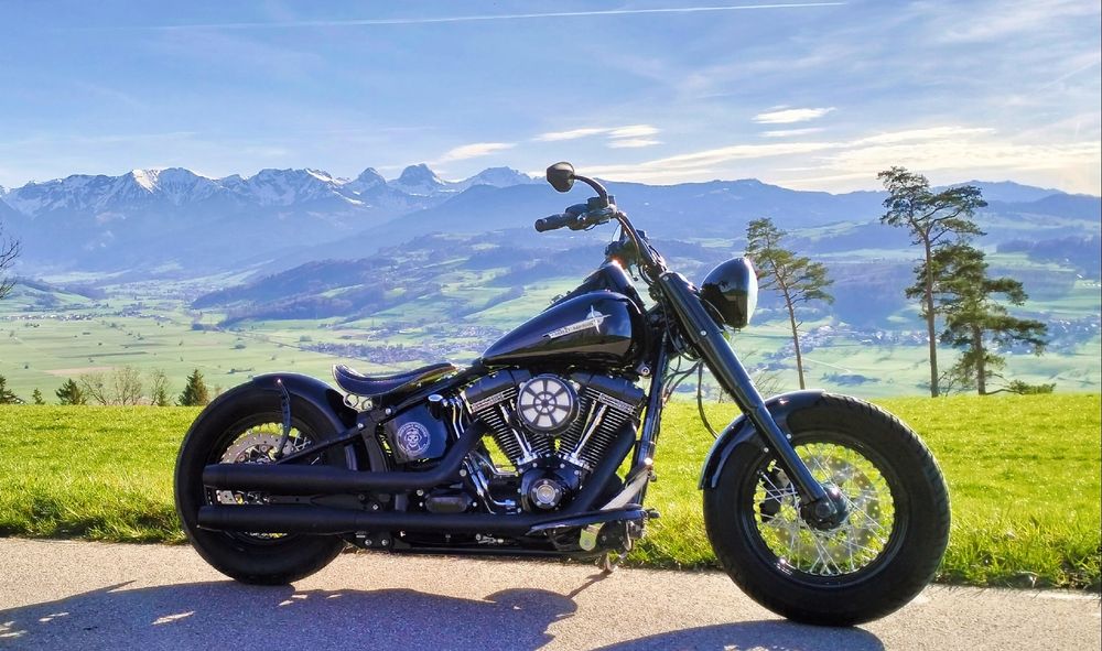 Harley Davidson FLSS 110 Slim | Kaufen auf Ricardo