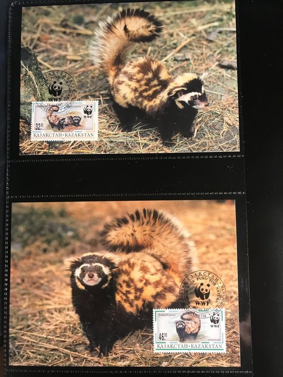 WWF Kasachstan 1997 Tigeriltis Satz Maximumkarten (Neu (gemäss ...
