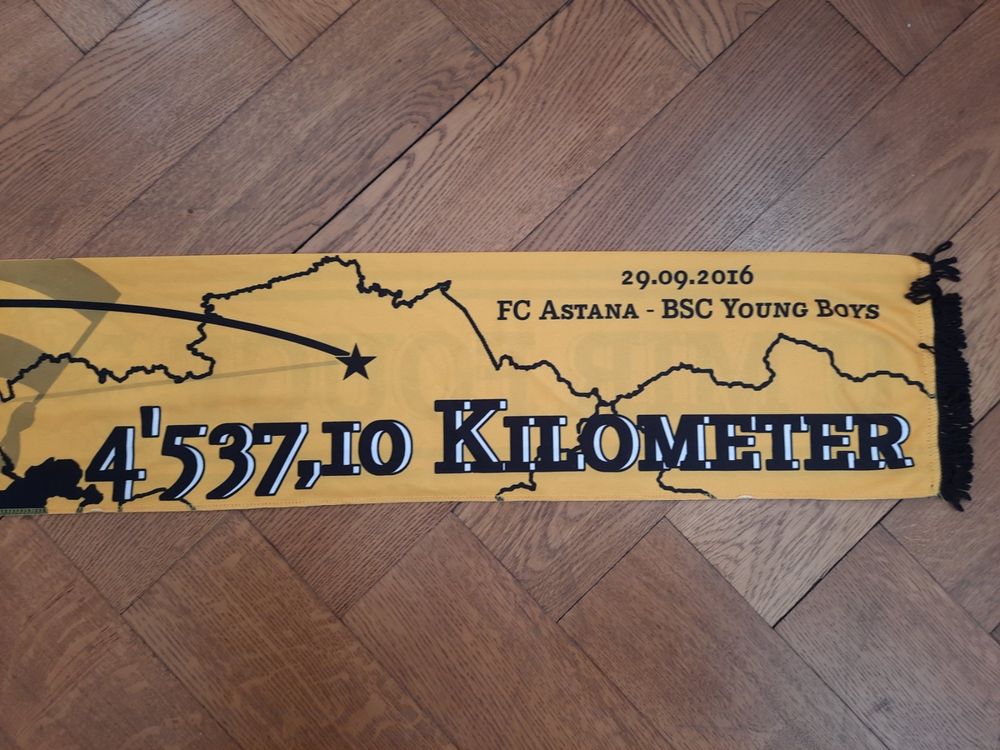 BSC YB Young Boys Bern Schal Ostkurve OKBE (Neu (gemäss Beschreibung ...