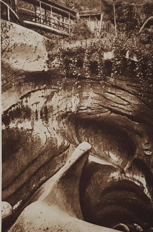 Prof. Albert Heim 1930, als Gletscherschwund kein Thema war (Gebraucht ...